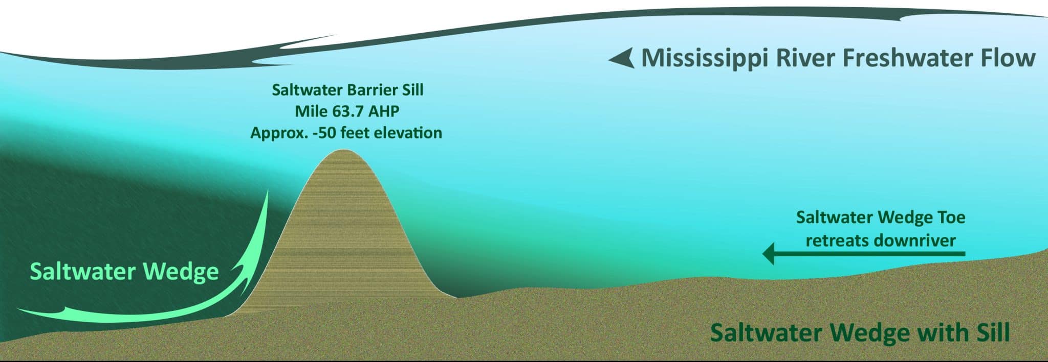 The Saltwater Crisis in the Mississippi River: Causes, Effects, and ...