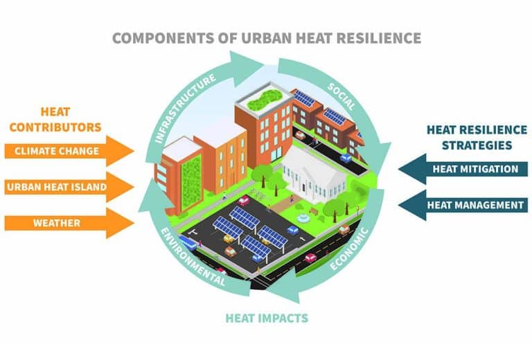 Urban Heat Solutions: How Do Cities Adapt to Climate Change?