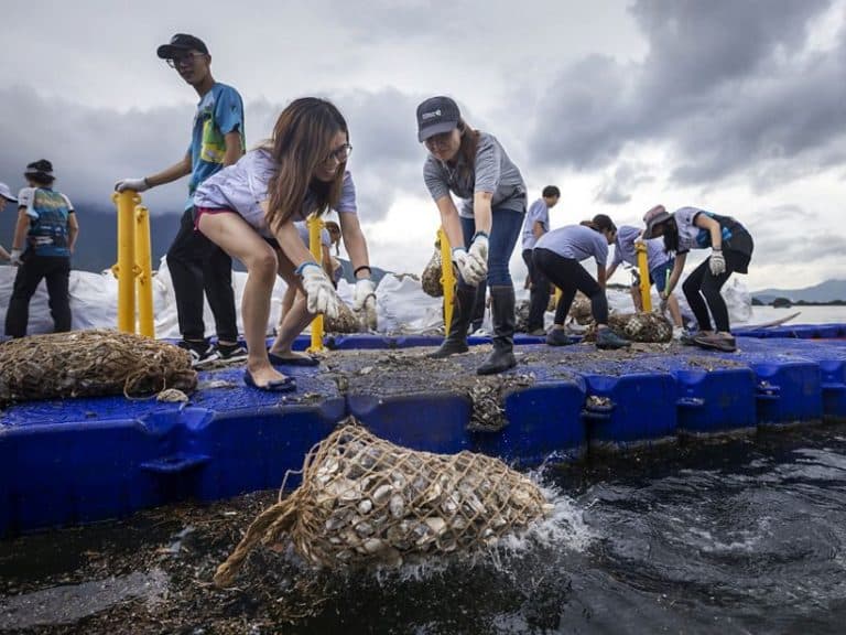 Navigating the Impacts of Rising Ocean Temperatures | Earth.Org