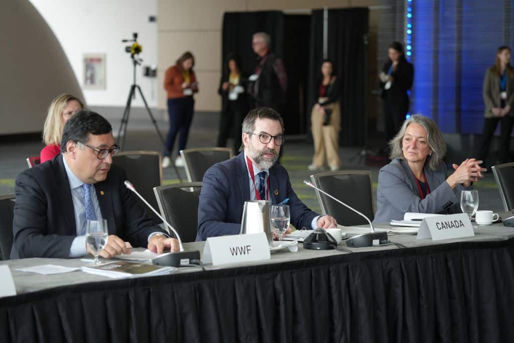 INC-4 Provides Limited Progress Towards a Global Plastics Treaty