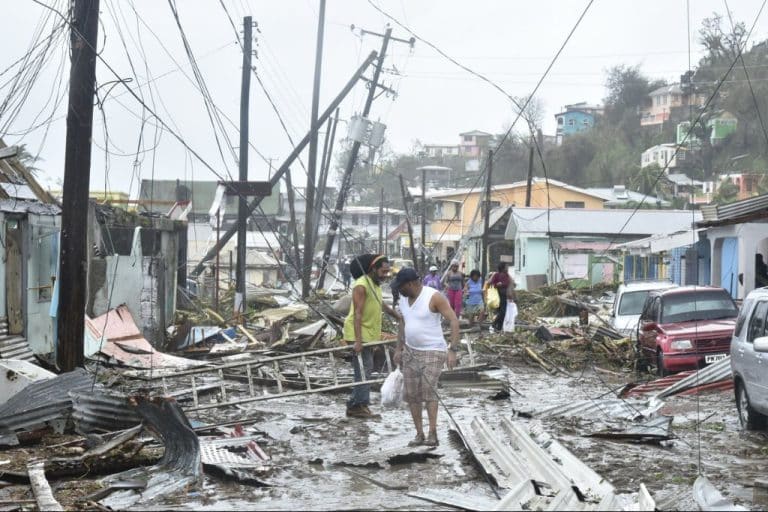 The Impact of Climate Change on Cricket | Earth.Org