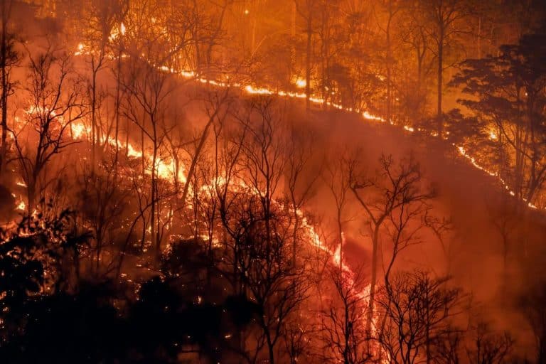 France's Largest Wildfire in Nearly 80 Years Contained