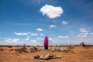 Desertification and Climate Change: What’s the Link? | Earth.Org