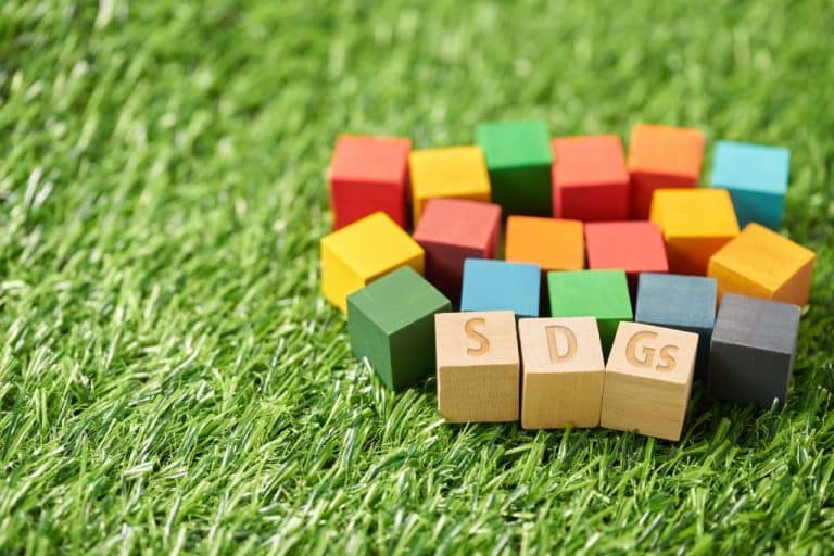 Only 16% of SDG Targets on Track to Be Met by 2030 | Earth.Org