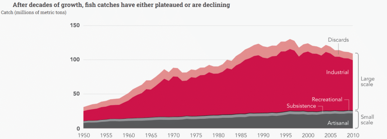 The Future of Sustainable Fishing: What Can We Do? | Earth.Org