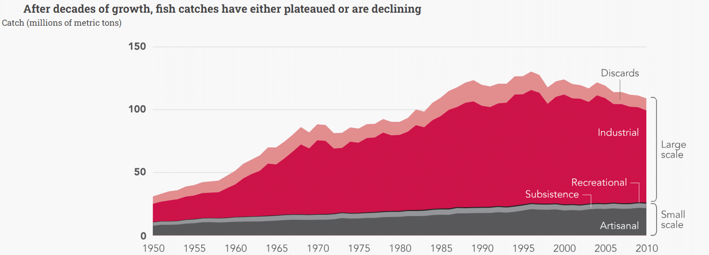 The Future of Sustainable Fishing: What Can We Do? | Earth.Org