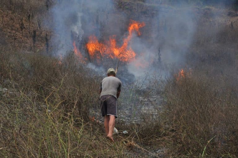 Brazil on Fire: The Devastation of Wildfires In Pictures | Earth.Org