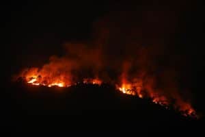 Brazil on Fire: The Devastation of Wildfires In Pictures | Earth.Org