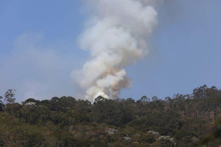Brazil on Fire: The Devastation of Wildfires In Pictures | Earth.Org