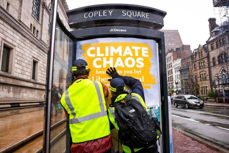 Year in Review: 8 Hopeful Climate Stories of 2024 | Earth.Org