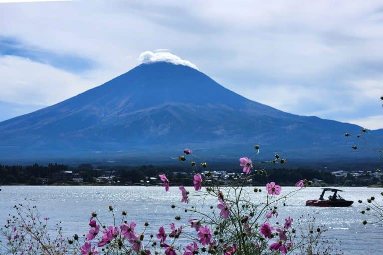 Snowless Mt Fuji Emerges as Stark Reminder of Global Warming