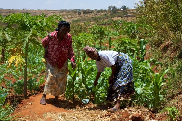 Climate-Smart Agriculture: Adapting Farming to a Changing Climate