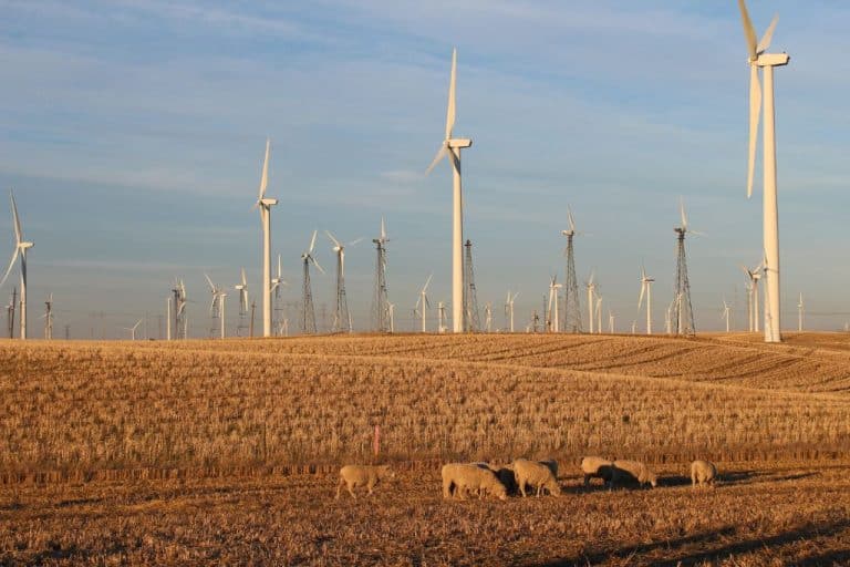 How Climate Change Impacts the Wind Power Industry | Earth.Org