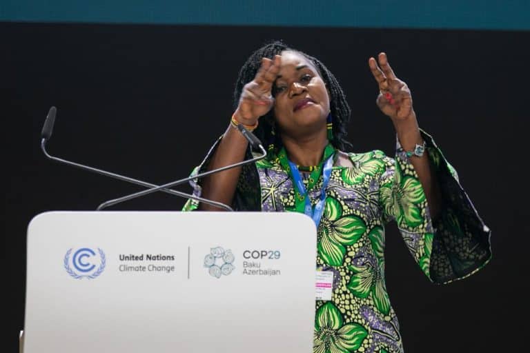 Did COP29 Succeed or Fail? | Earth.Org