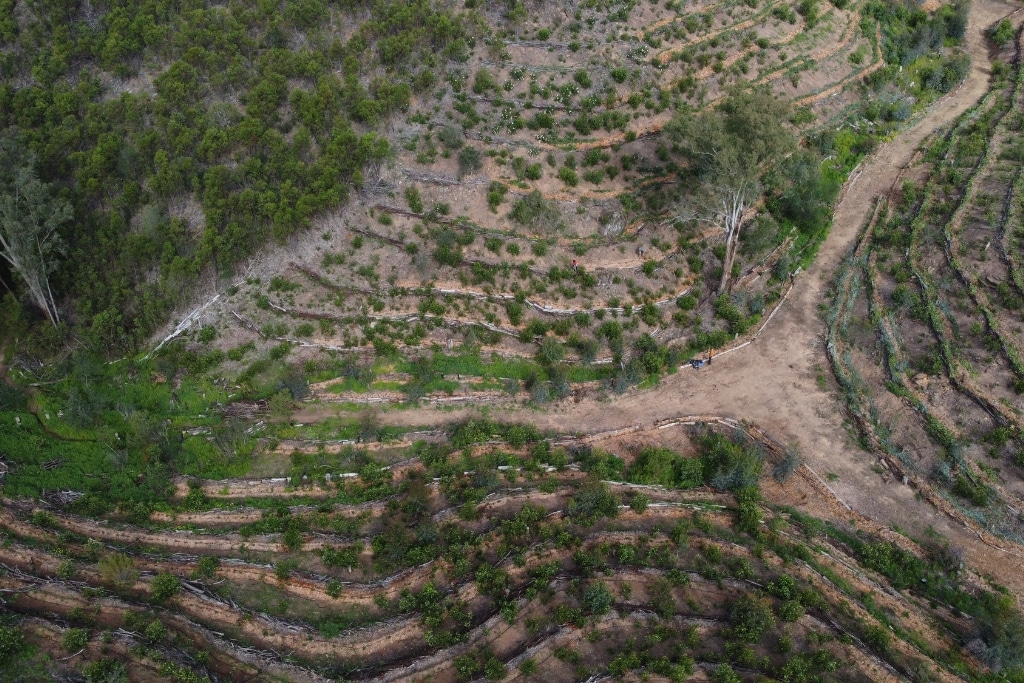 On a Mission to Promote Regenerative Agriculture in Portugal