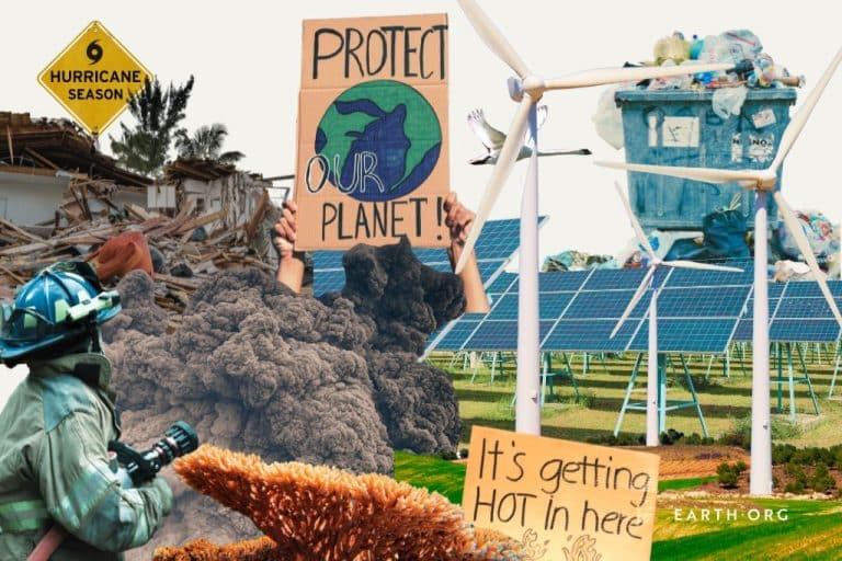 Year in Review: The Biggest Climate Headlines of 2024 | Earth.Org