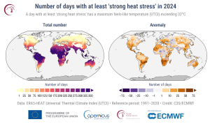 2024, Hottest Year on Record, Surpasses 1.5C Mark | Earth.Org