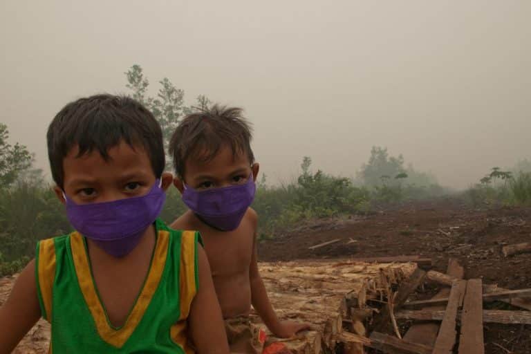 All But 7 Countries Faced Unsafe Air Pollution Levels in 2024