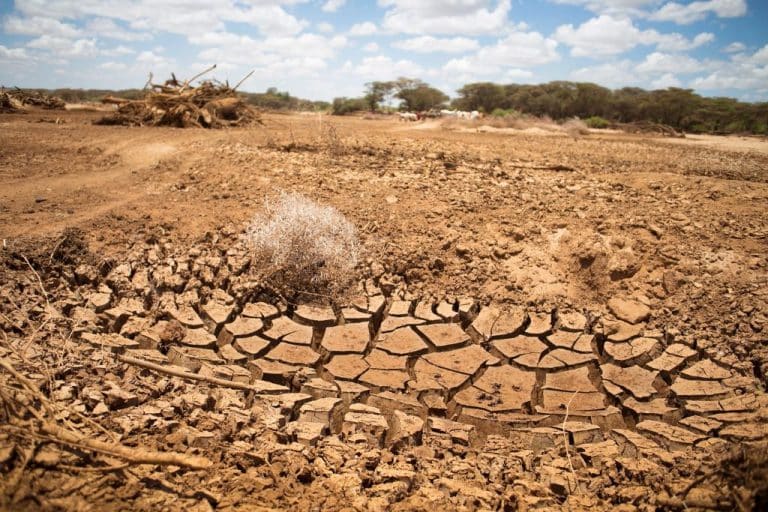 Africa Severely Affected By Climate Change in 2024: WMO