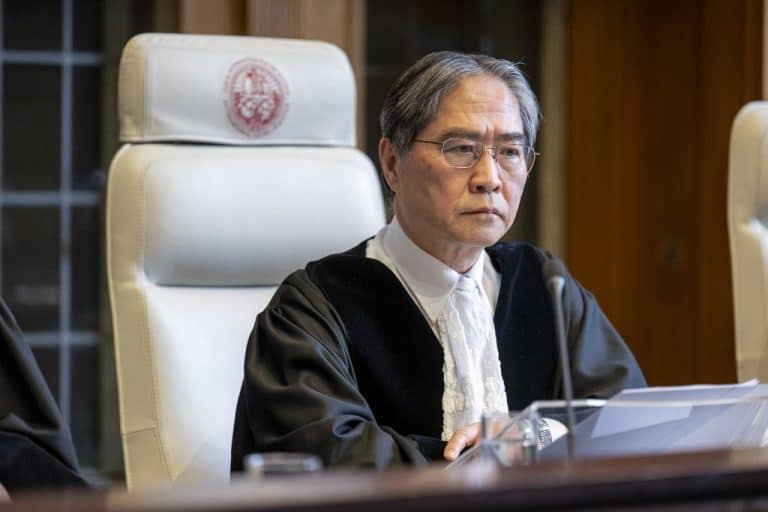 A Comprehensive Analysis of the ICJ Climate Advisory Opinion