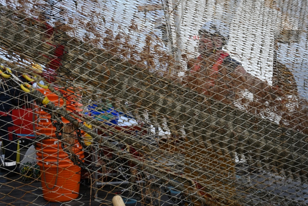 Bottom Trawling: What Is It and Why Is It Allowed? | Earth.Org