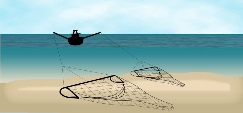 Bottom Trawling: What Is It and Why Is It Allowed? | Earth.Org