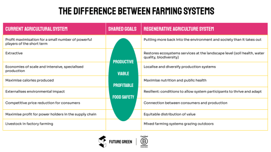 Regenerative Agriculture Goes Mainstream: Trends and Impacts