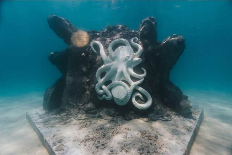 How Artificial Reefs Are Bringing Back Lost Ocean Ecosystems