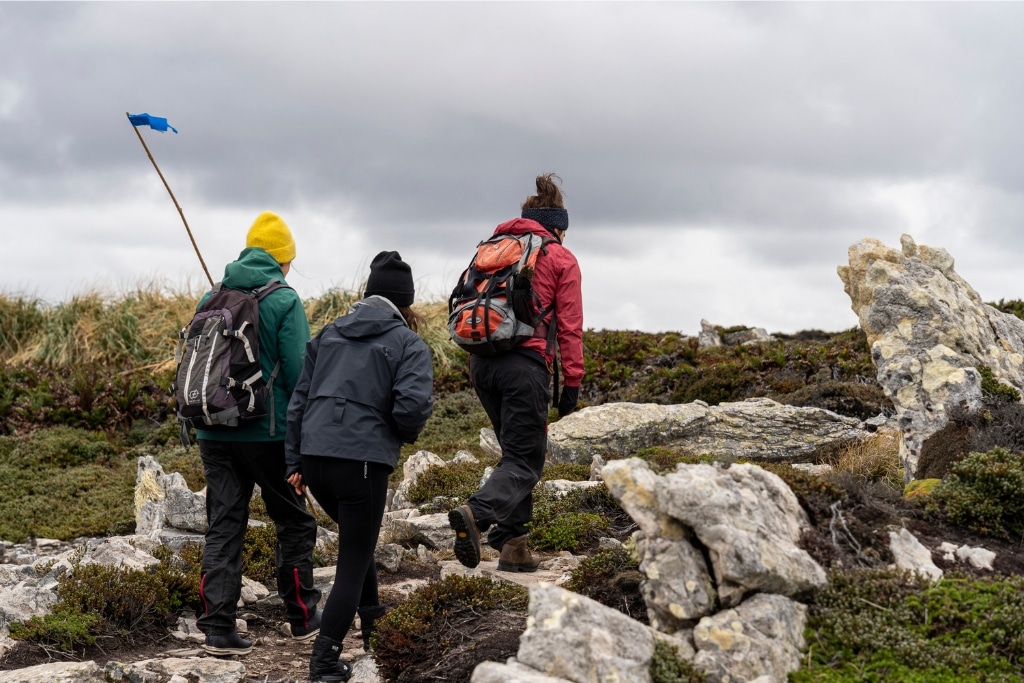 Saving the Falklands: The Fight to Reclaim a Lost Ecosystem