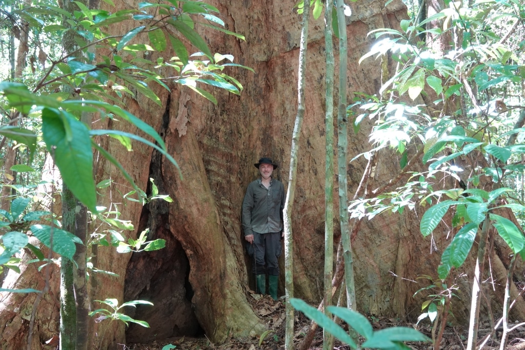 Inside the Rhino Forest Fund’s Reforestation Mission in Borneo