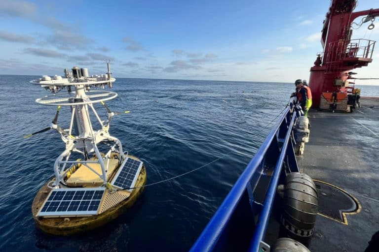 Trump Dismantles Key Ocean Monitoring Network in Atlantic, Pacific