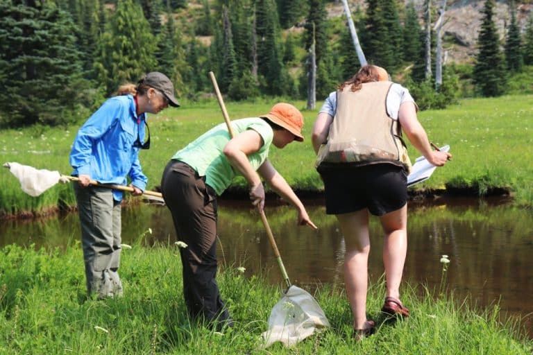 Citizen Science Can Benefit Wetland Restoration | Earth.Org